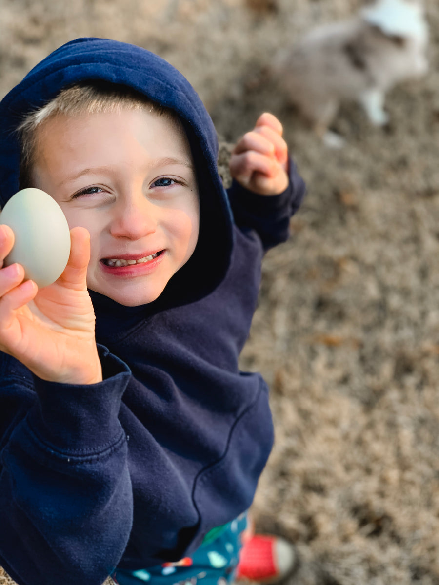 Camps – Berkeley Farm