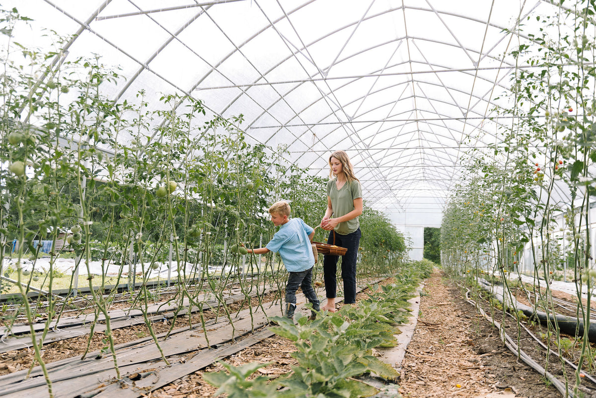 Wholesale – Berkeley Farm