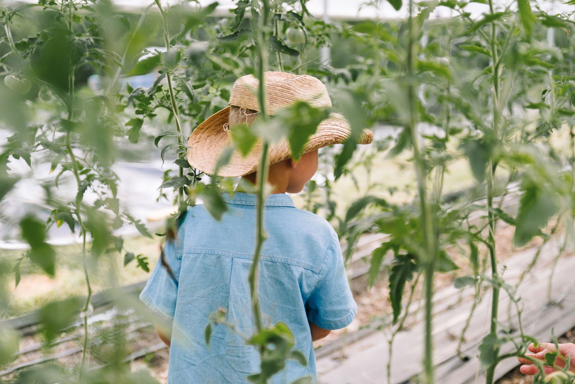 Camps – Berkeley Farm